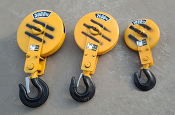 Electric Wire Rope Hoist